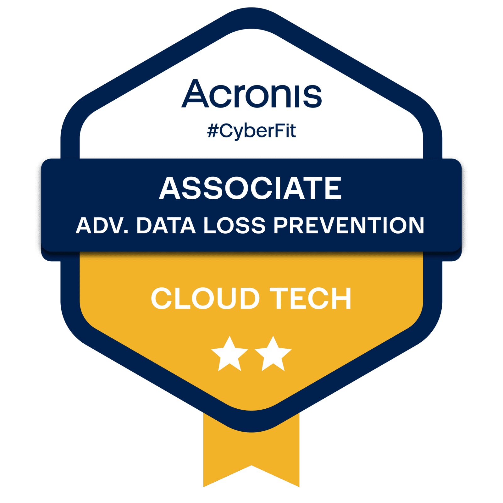 IT Certifications For Excellence & Security - Bridge IT